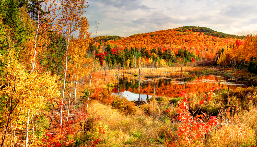 Autumn in the Adirondacks – Custom Holidays